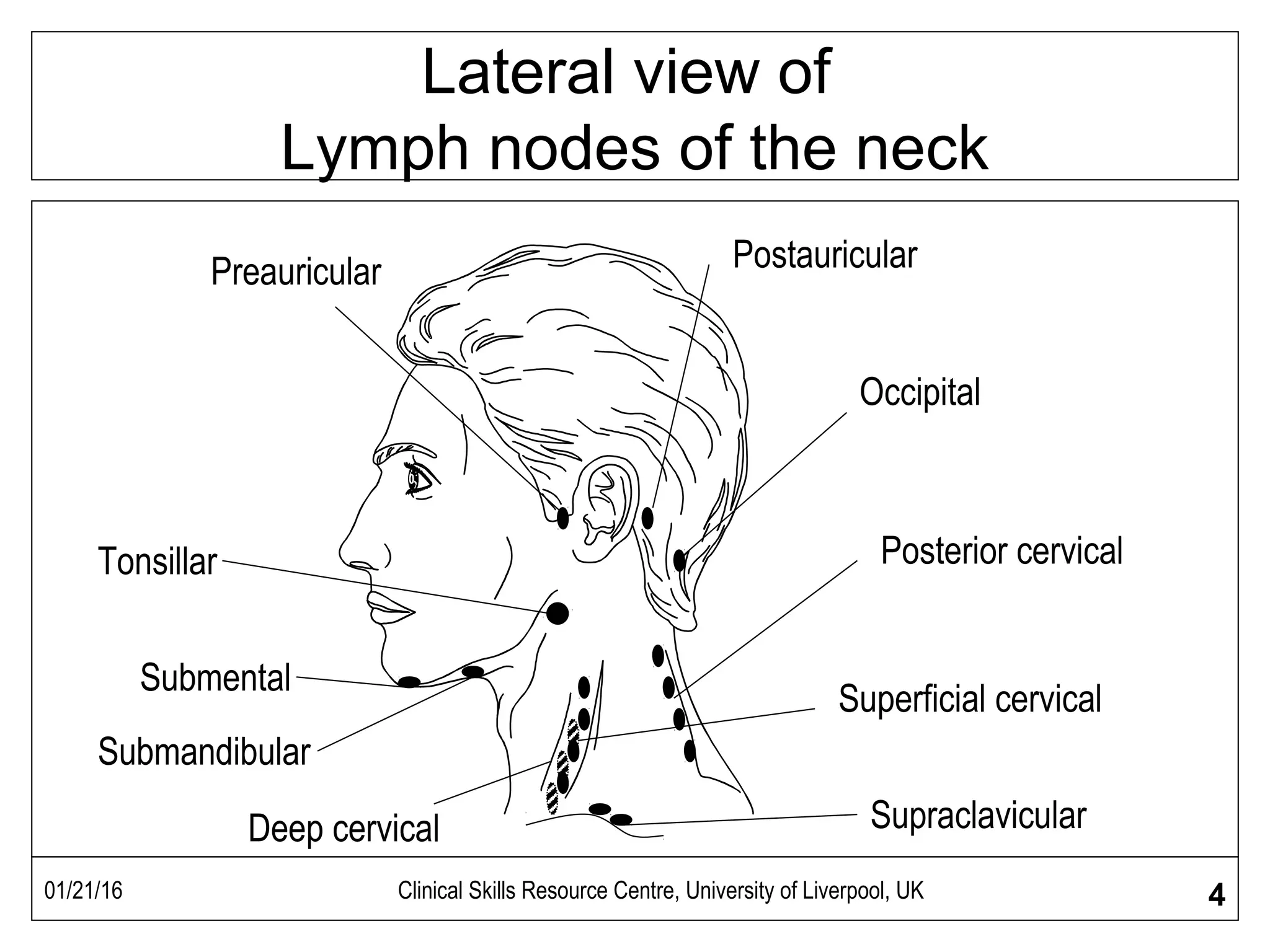 Lymph Node Examination | PPT