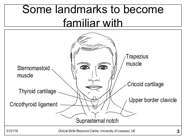 Lymph Node Examination