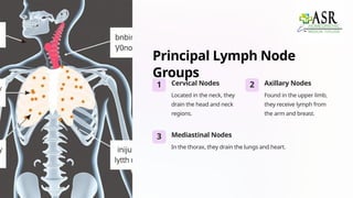 LYMPH NODES AND DRAINAGE OF LYMPH -AN OVERVIEW | PPT