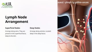 LYMPH NODES AND DRAINAGE OF LYMPH -AN OVERVIEW | PPT