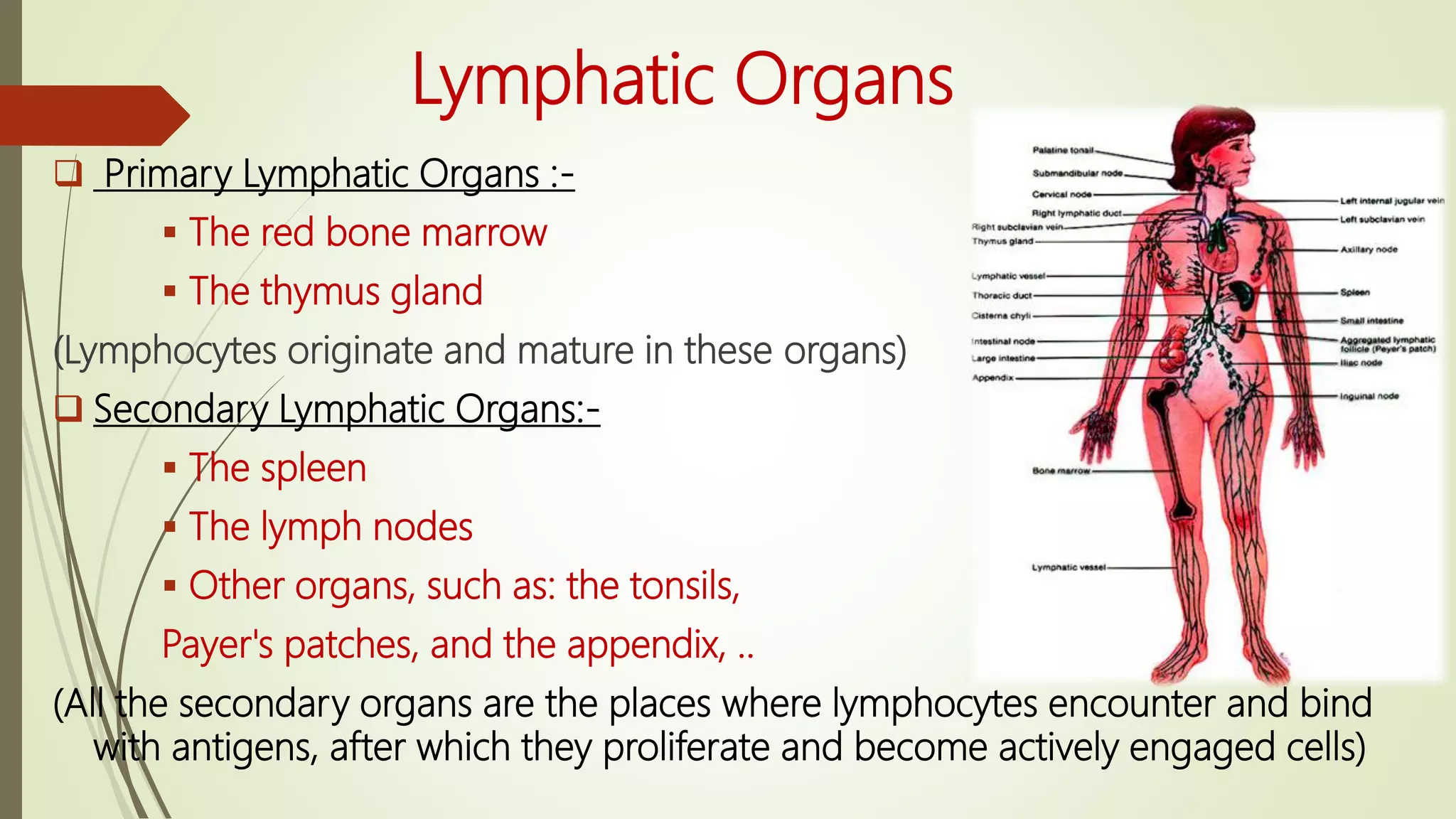 Lymphadenopathy | PPTX
