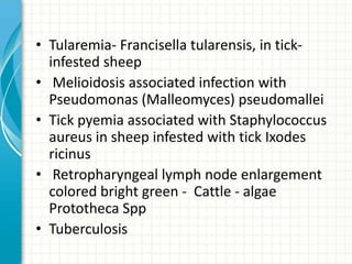 lymphadenopathy.pptx | Ear, Nose and Throat Conditions | Diseases and ...