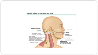 Lymphadenopathy dr bikal | PPTX