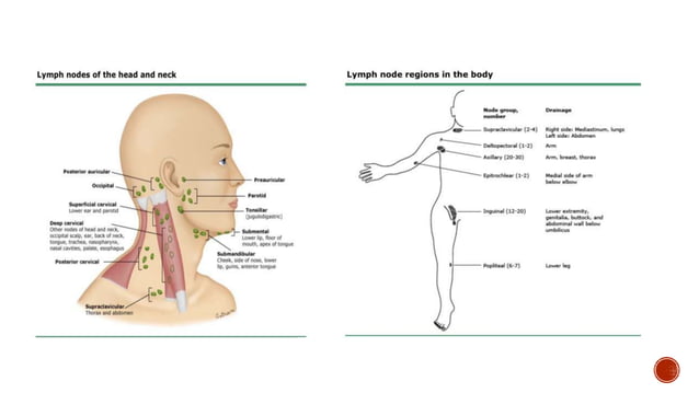 Lymphadenopathy in children | PPTX