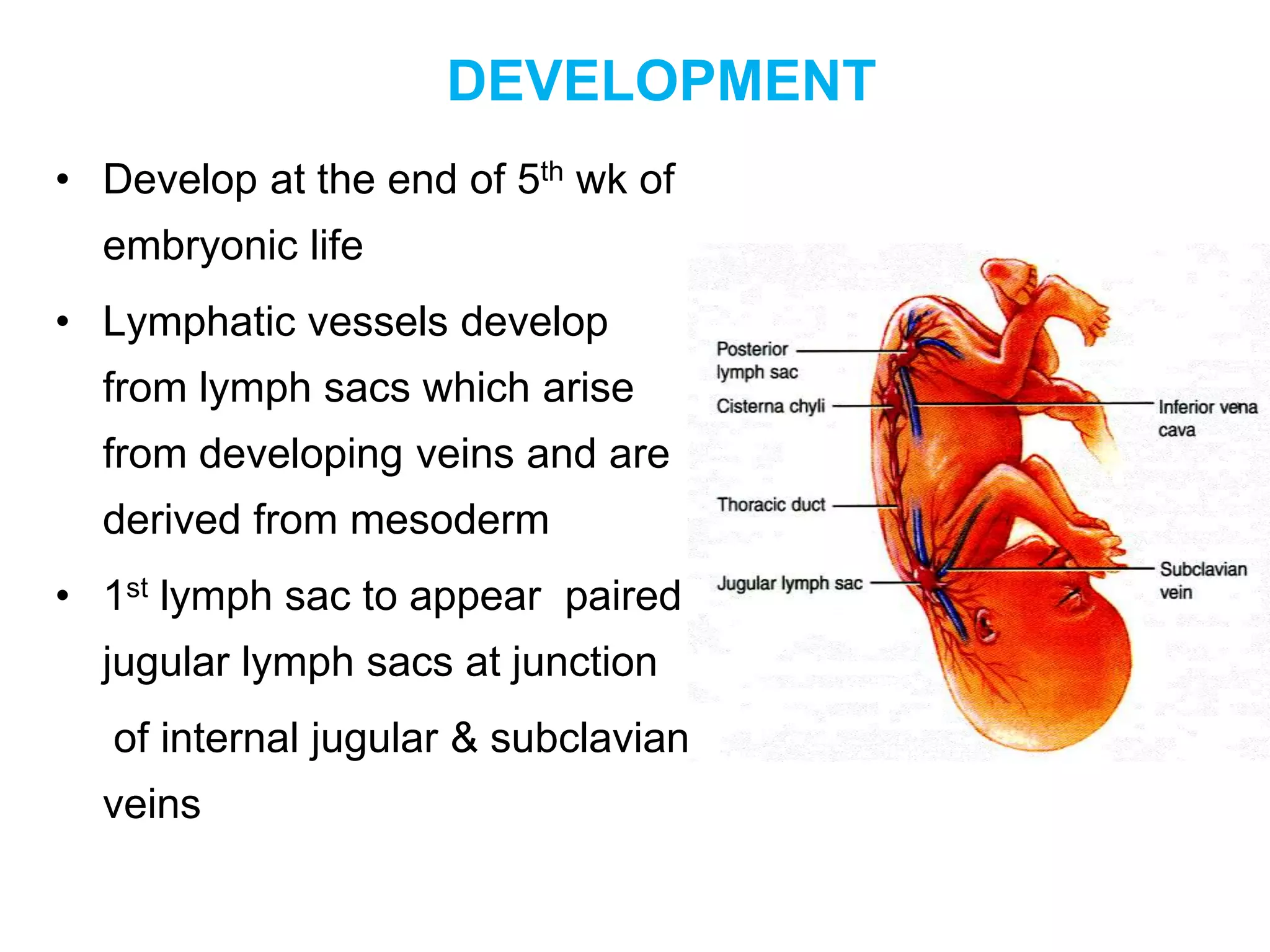 Lymph and lymphatic system | PPTX