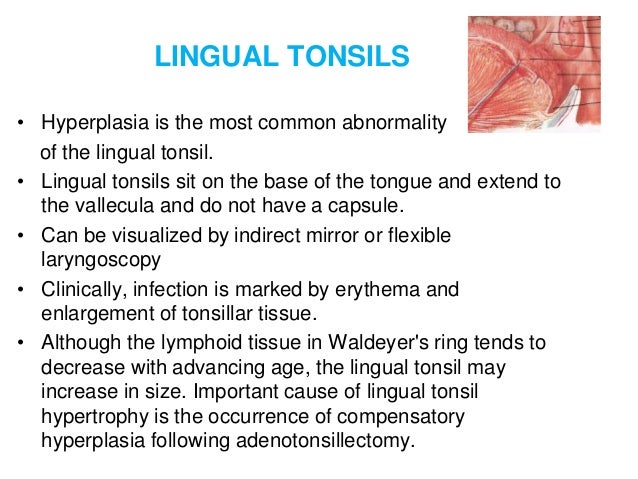 Lymph and lymphatic system