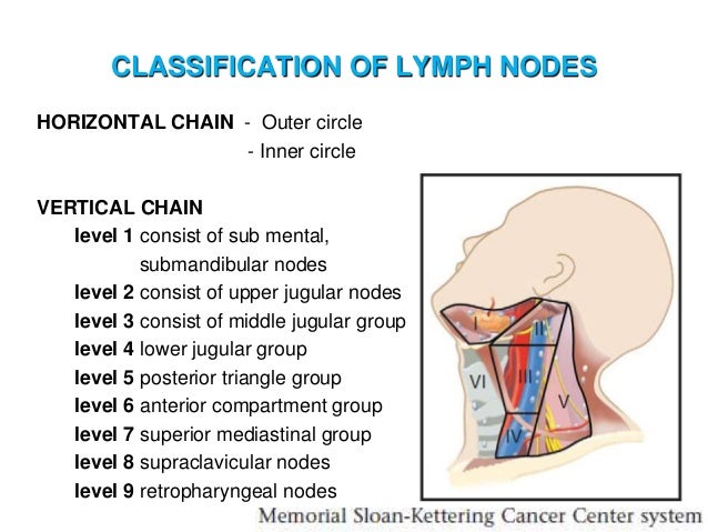 Lymph and lymphatic system