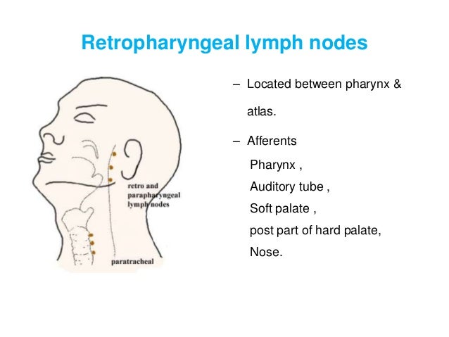 Lymph and lymphatic system