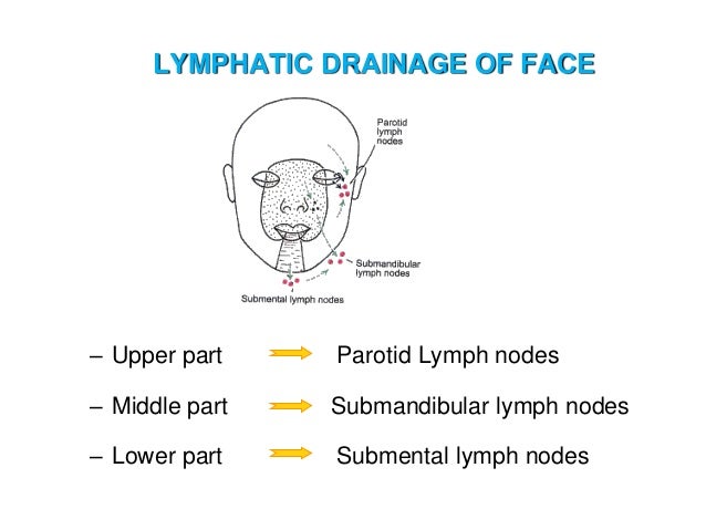 Lymph and lymphatic system