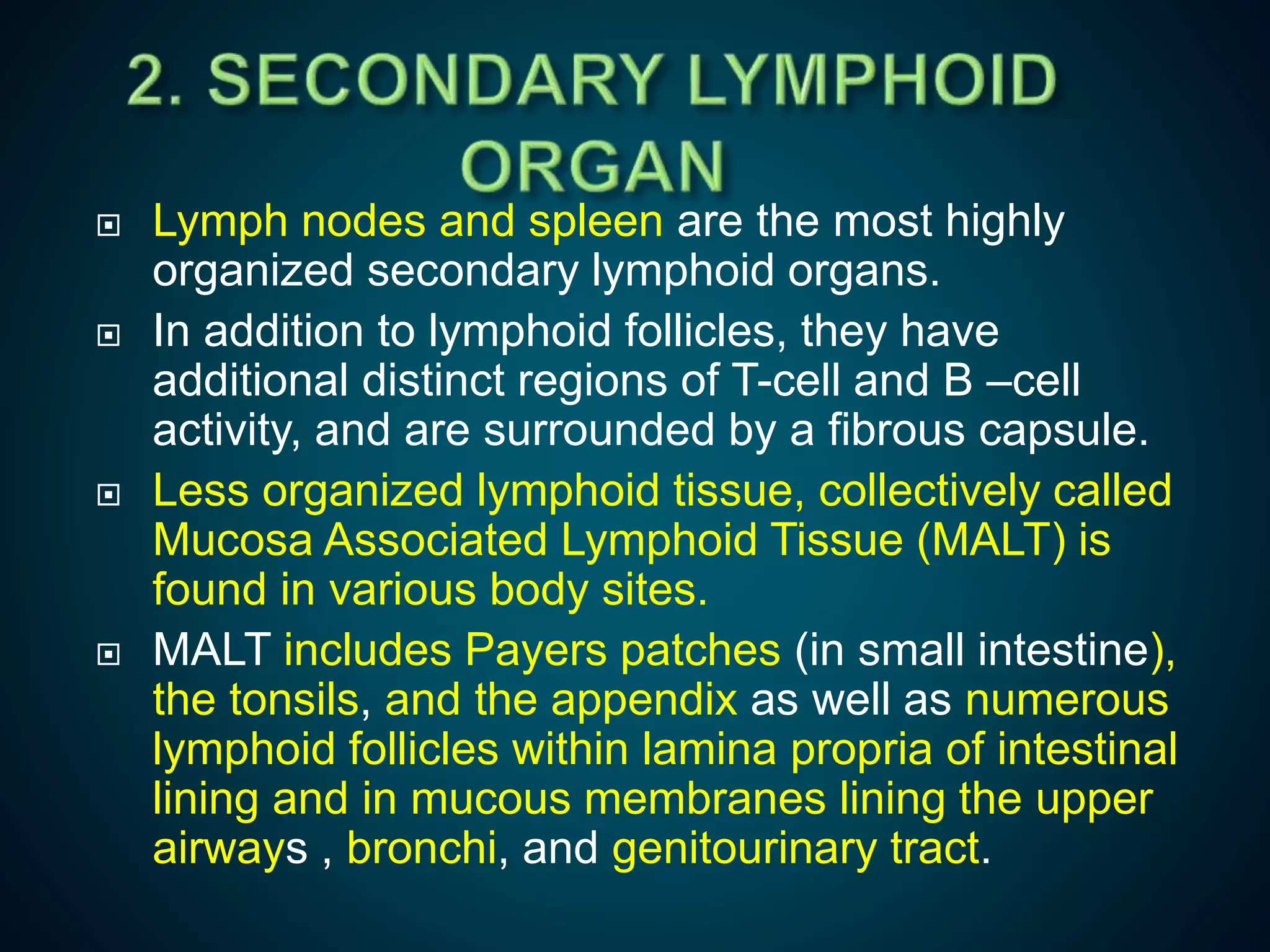 Lymph and lymphatic system | PPTX