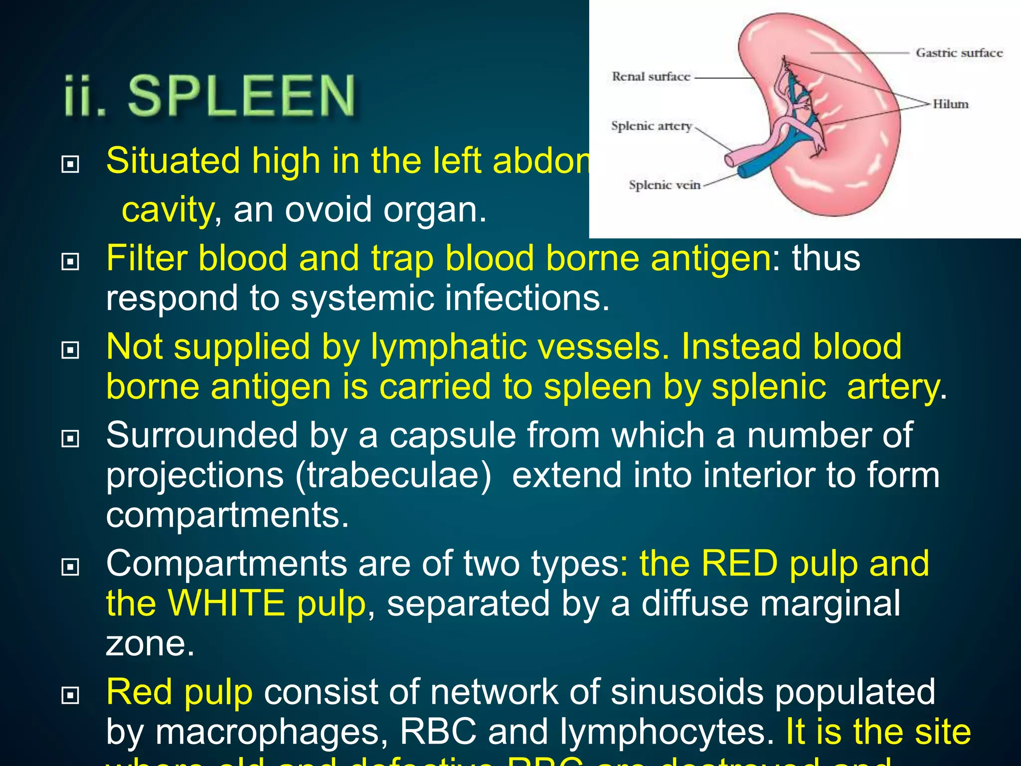 Lymph and lymphatic system | PPTX