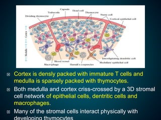 Lymph and lymphatic system | PPTX