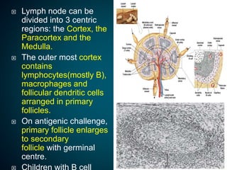 Lymph and lymphatic system | PPTX