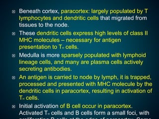 Lymph and lymphatic system | PPTX