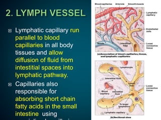 Lymph and lymphatic system | PPTX