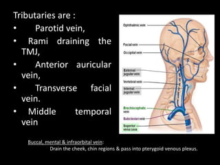 LYMPH AND VEINS.pptx