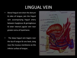 LYMPH AND VEINS.pptx