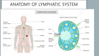 Lymphangitis | PPTX