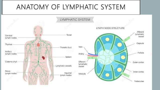 Lymphangitis | PPTX