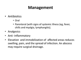 lymphangitis.ppt