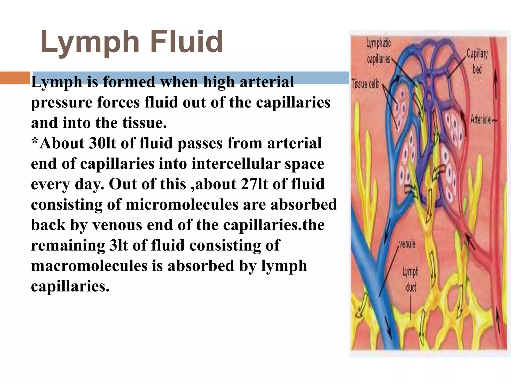 Lymphatic system | PPTX