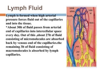 Lymphatic system | PPTX