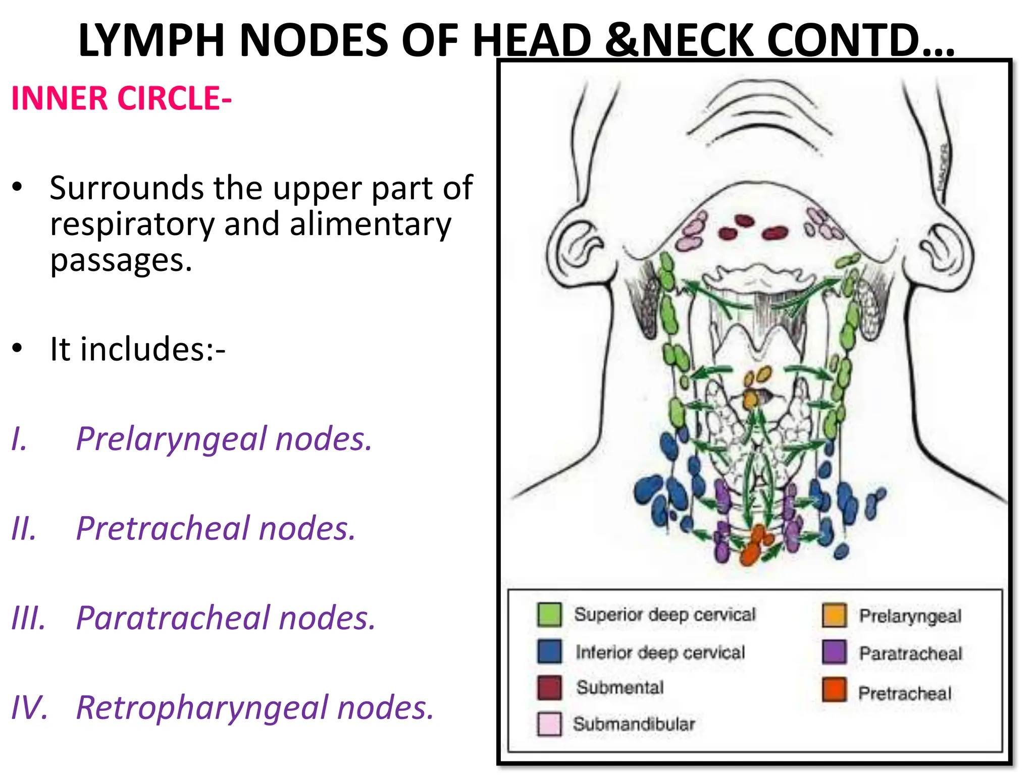 LYMPHATIC -DRAINAGE- OF -HEAD- NECK.pdf. | PDF | Thyroid Disorders ...