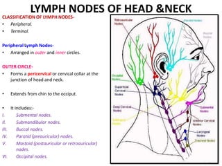 LYMPHATIC -DRAINAGE- OF -HEAD- NECK.pdf. | PDF | Thyroid Disorders ...