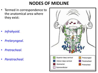 LYMPHATIC -DRAINAGE- OF -HEAD- NECK.pdf. | PDF | Thyroid Disorders ...