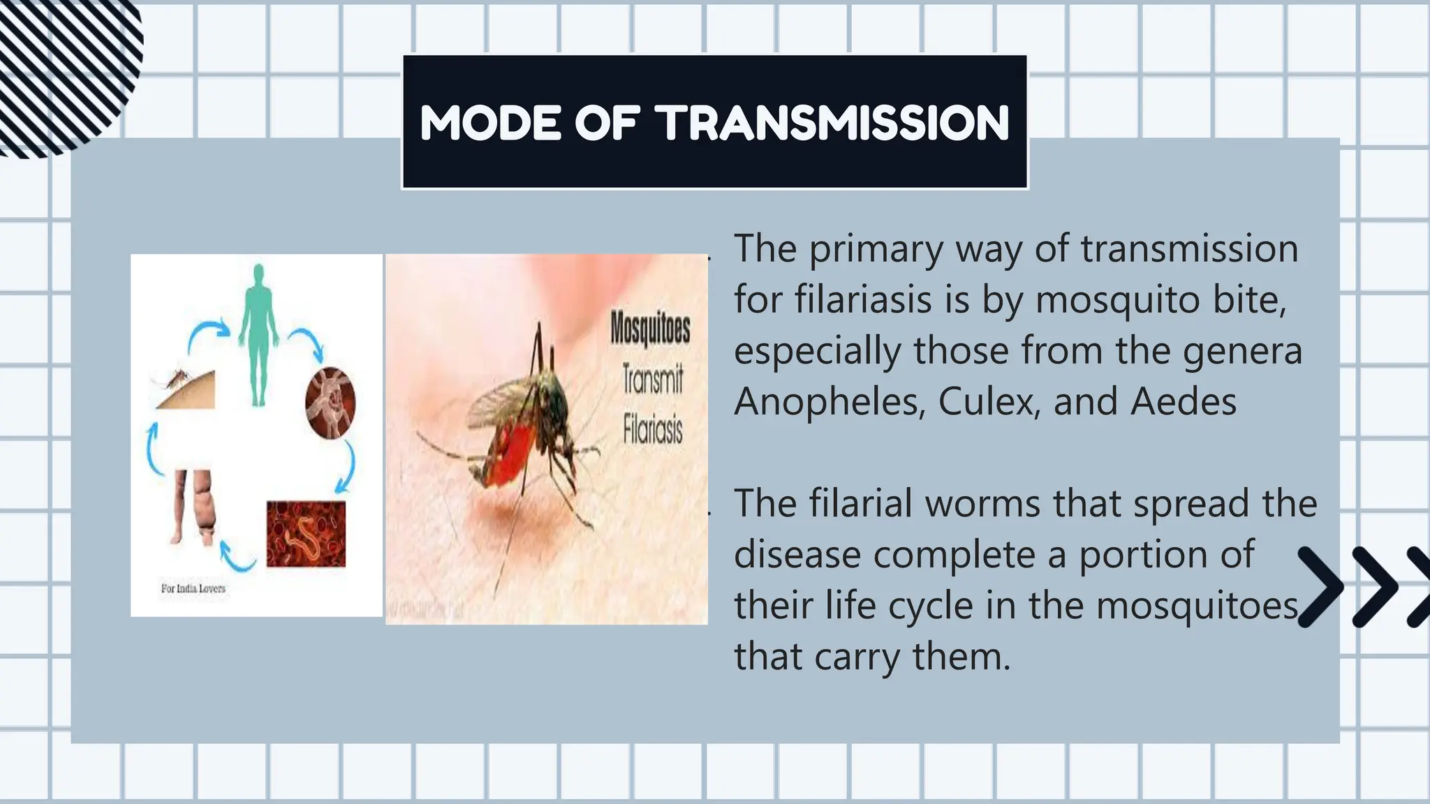 Lymphatic-Filariasis Power Point Presentation | PDF