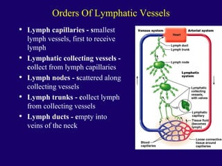 Lymphatic system - mypharmaguide | PPT
