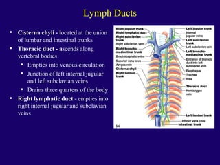 Lymphatic system - mypharmaguide | PPT