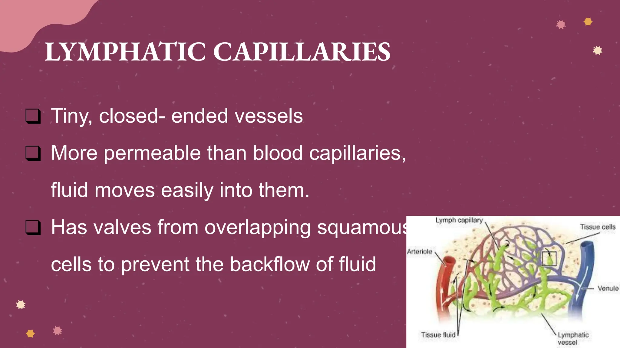 LYMPHATIC-SYSTEM, concepts, functions.pdf