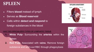 LYMPHATIC-SYSTEM, concepts, functions.pdf