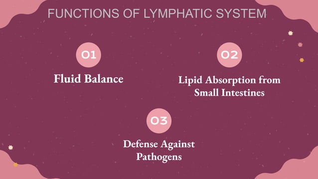 LYMPHATIC-SYSTEM, concepts, functions.pdf
