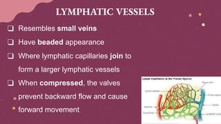LYMPHATIC-SYSTEM, concepts, functions.pdf