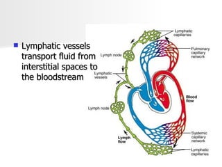 Lymphatic System | PPT