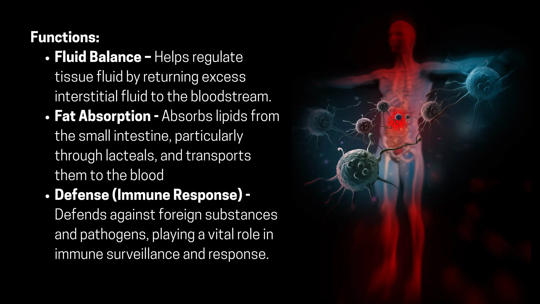 Lymphatic system of the living human beings | PDF