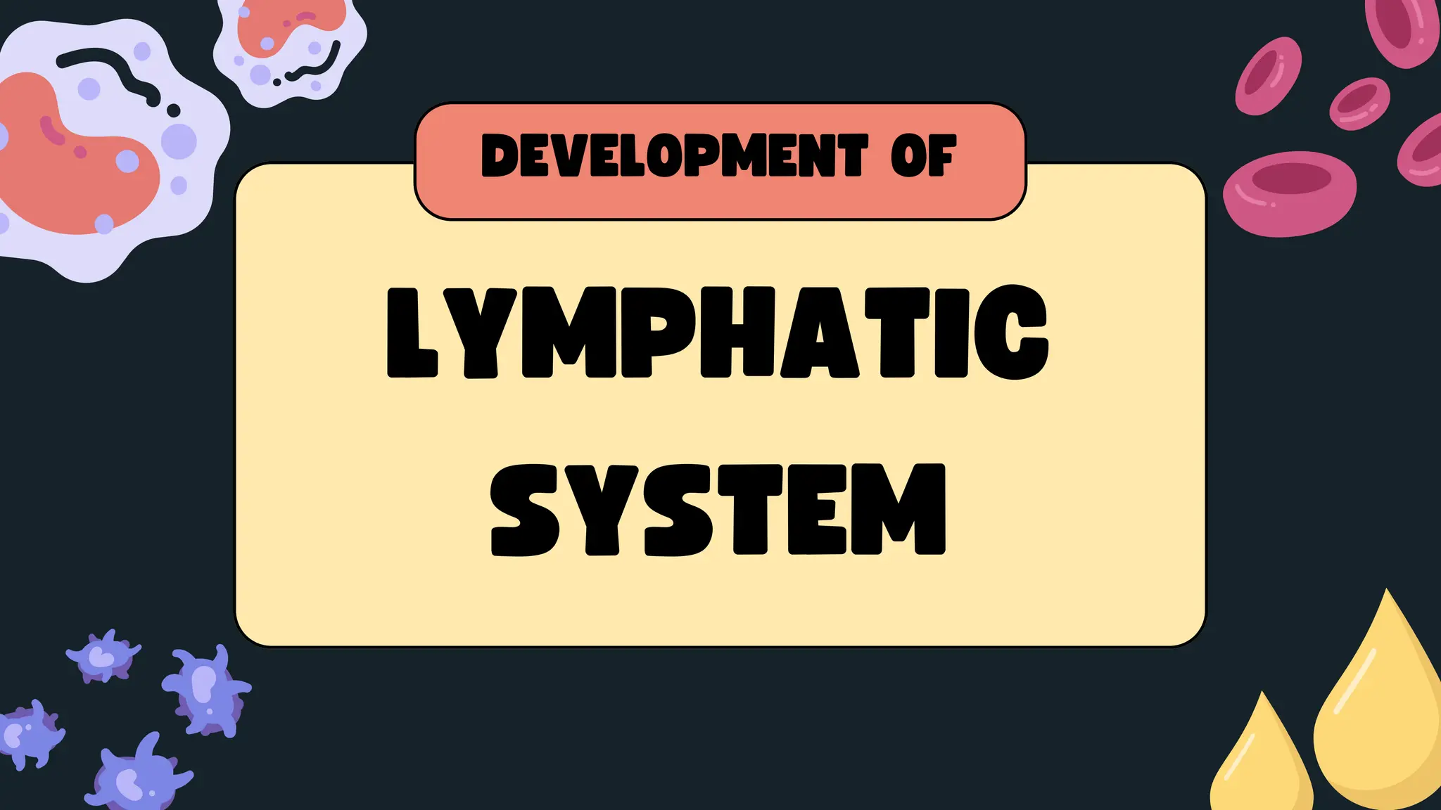 lymphatic-system-development-ppt-presentation.pdf