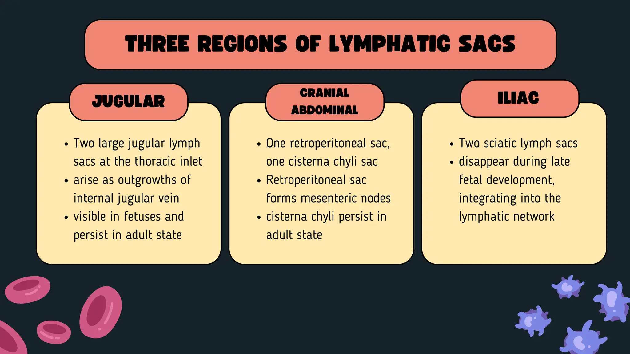 lymphatic-system-development-ppt-presentation.pdf