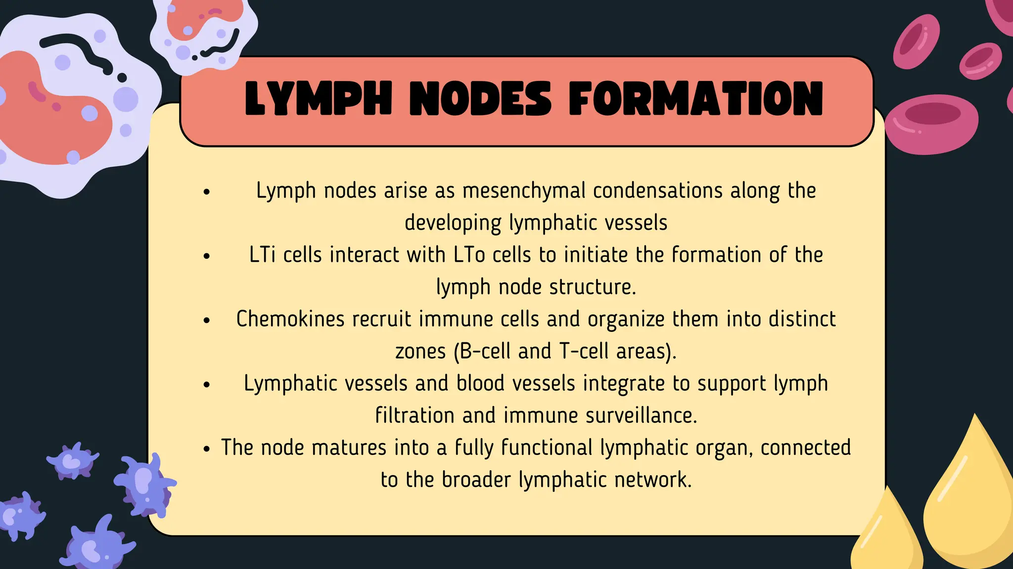 lymphatic-system-development-ppt-presentation.pdf