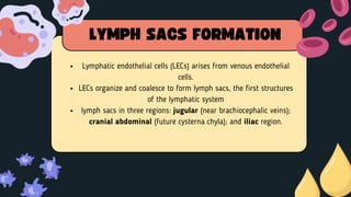lymphatic-system-development-ppt-presentation.pdf