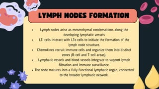 lymphatic-system-development-ppt-presentation.pdf
