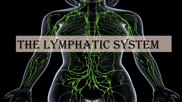 Lymphatic-system-ppt_091950.........pptx