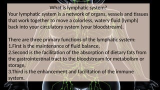 Lymphatic System Ppt 091950 Pptx