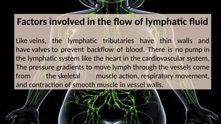 Lymphatic-system-ppt_091950.........pptx