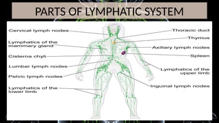 Lymphatic-system-ppt_091950.........pptx