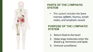 Lymphatic-System for nursing students(1).pptx