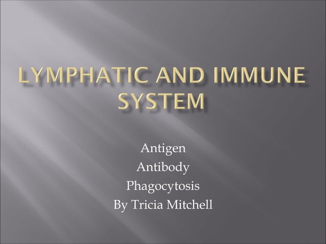 Lymphatic And Immune System | PPT