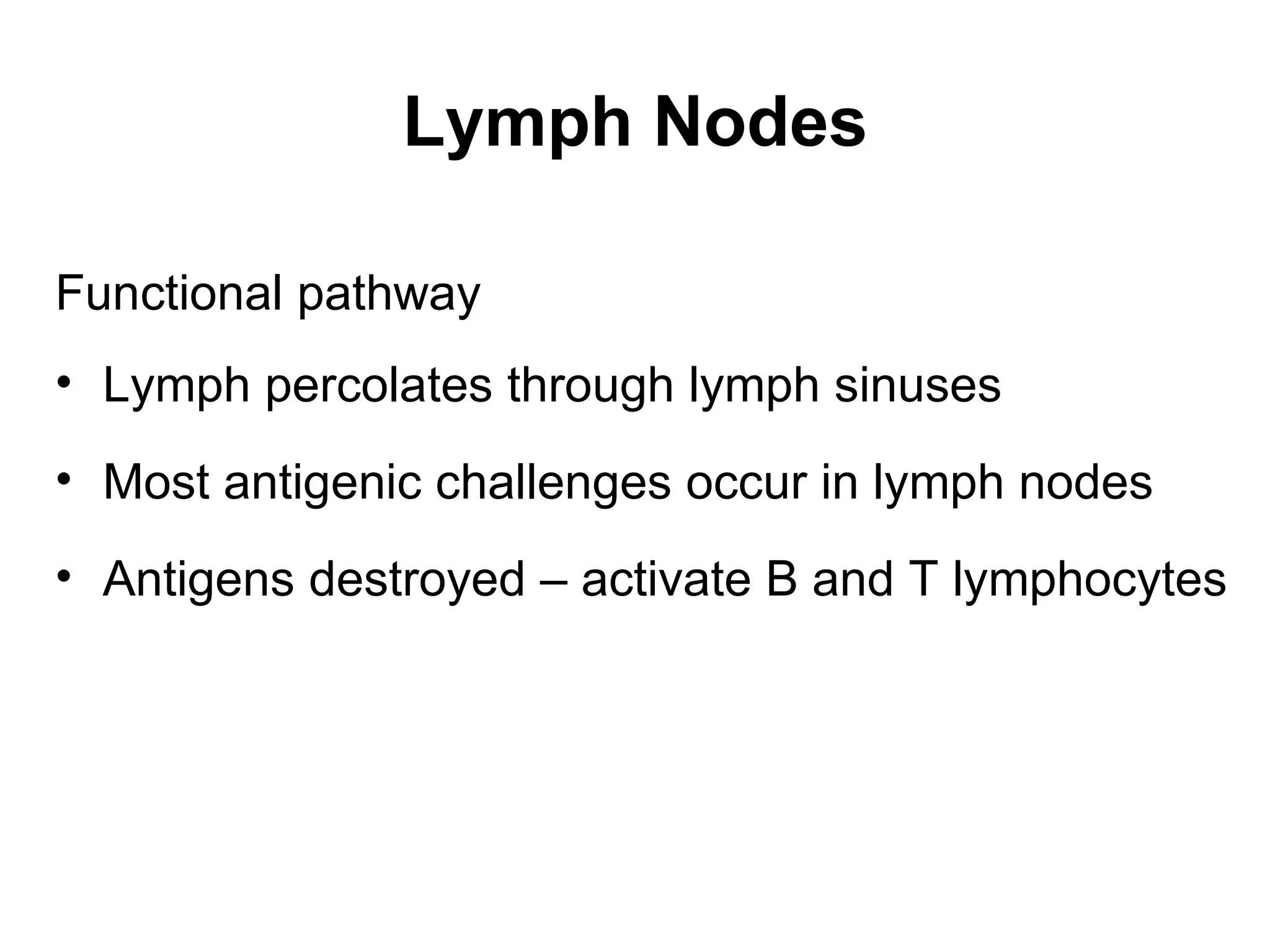 Lymphatic and immune system | PPT